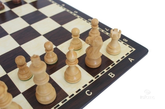 Šachový set č.323. Šachový obchod nejnovější šachové programy, knihy a ...